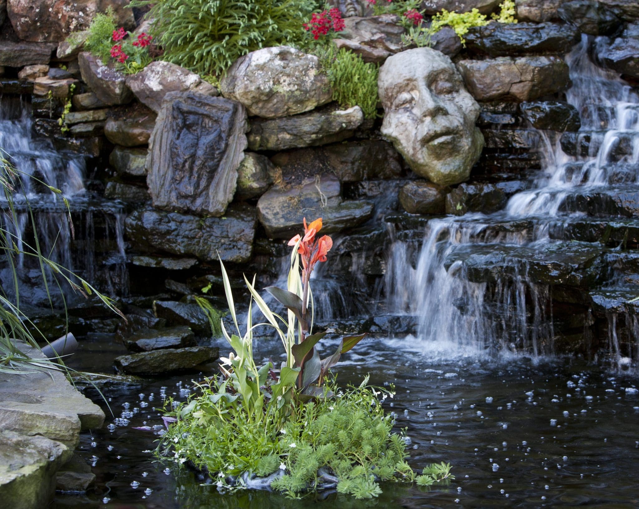 A Floating Garden | At Home in Arkansas