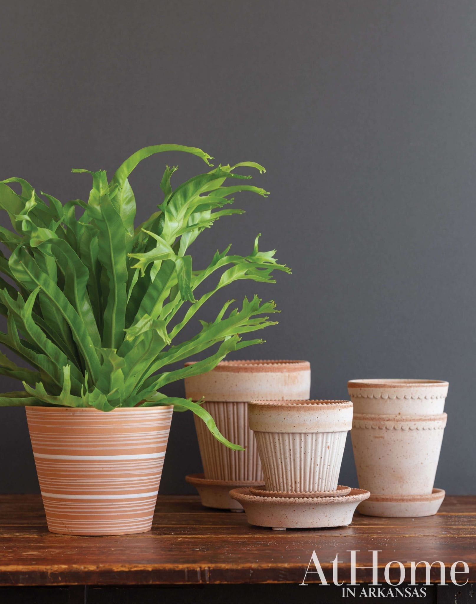 Terracotta Tones - At Home in Arkansas
